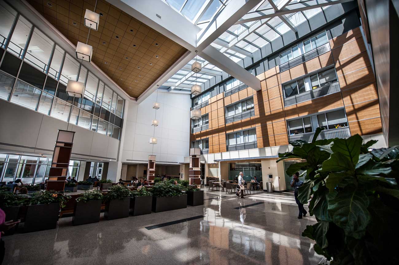 Gallery » Topakustik USA