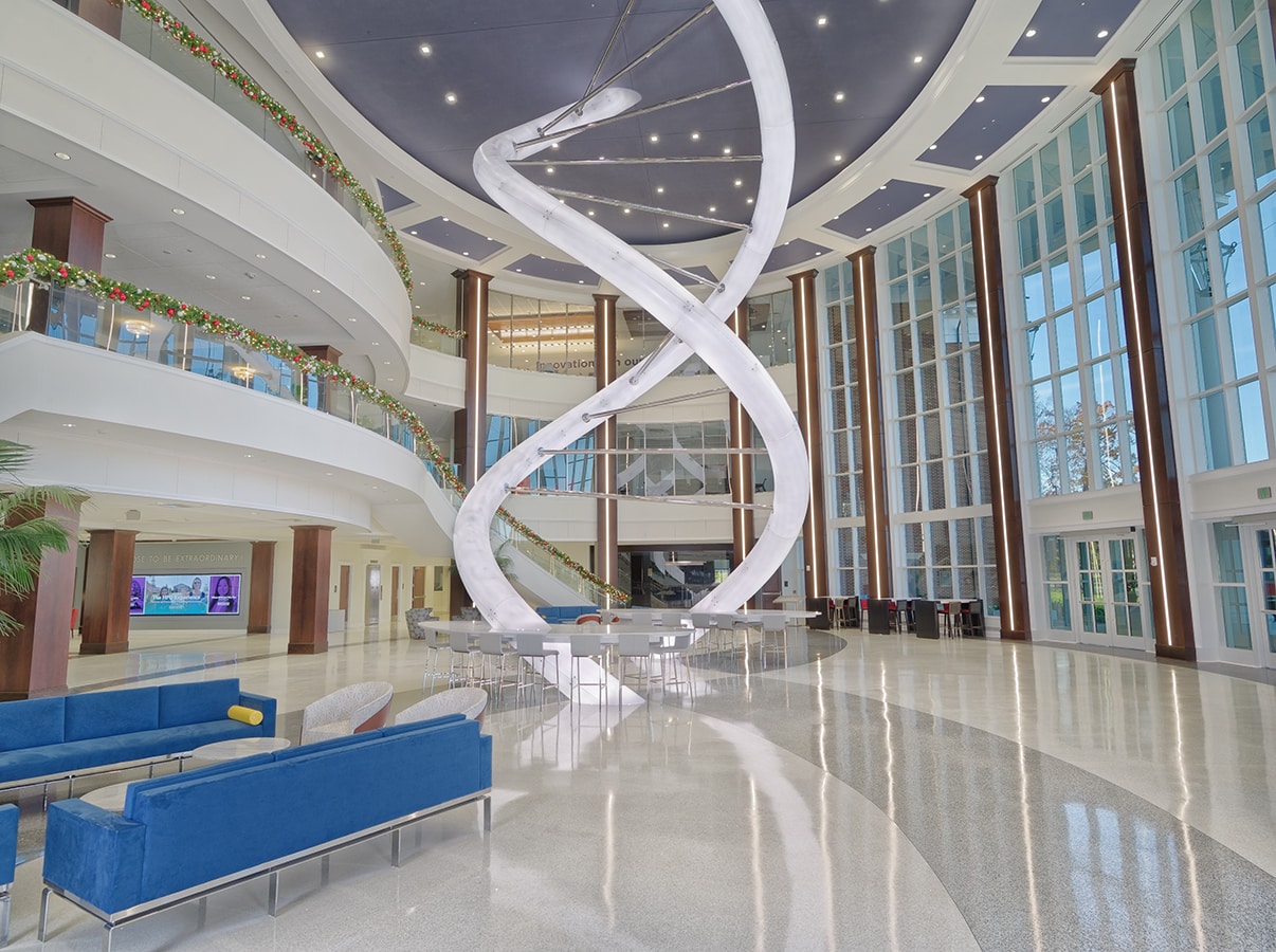 high point university 2 » Topakustik USA